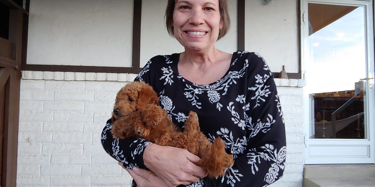 Dizzy in New York City - by Lori Wrankle - Lori's Substack