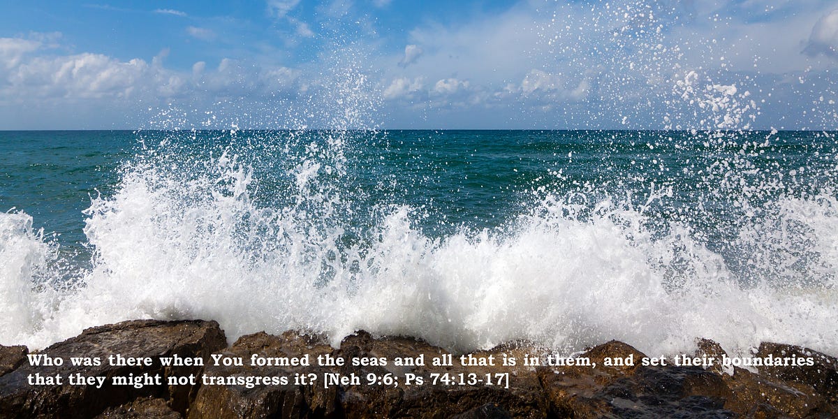 WHY DO I EXIST - by Michael Zanelli - Michael’s Substack