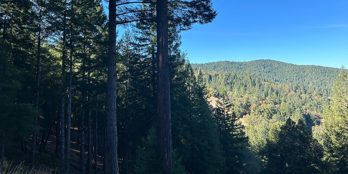 On coping - by Johnny Rochat - NorCal - A Spoonful of Sugar