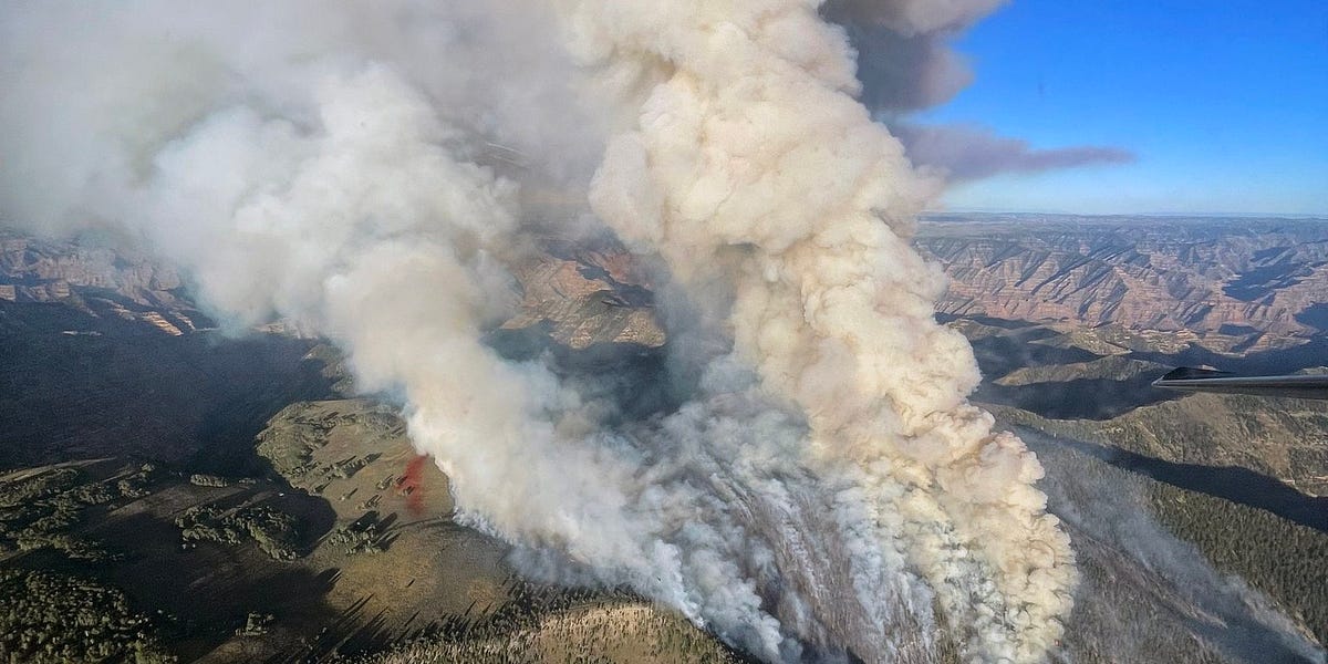Breaking: New Forest Service Chief Announced. Tom Schultz Is The 21st ...