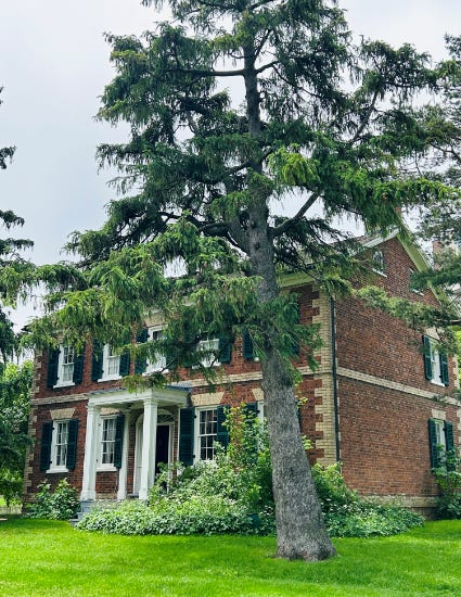 The notebook of the end of June - by Lydia Perovic