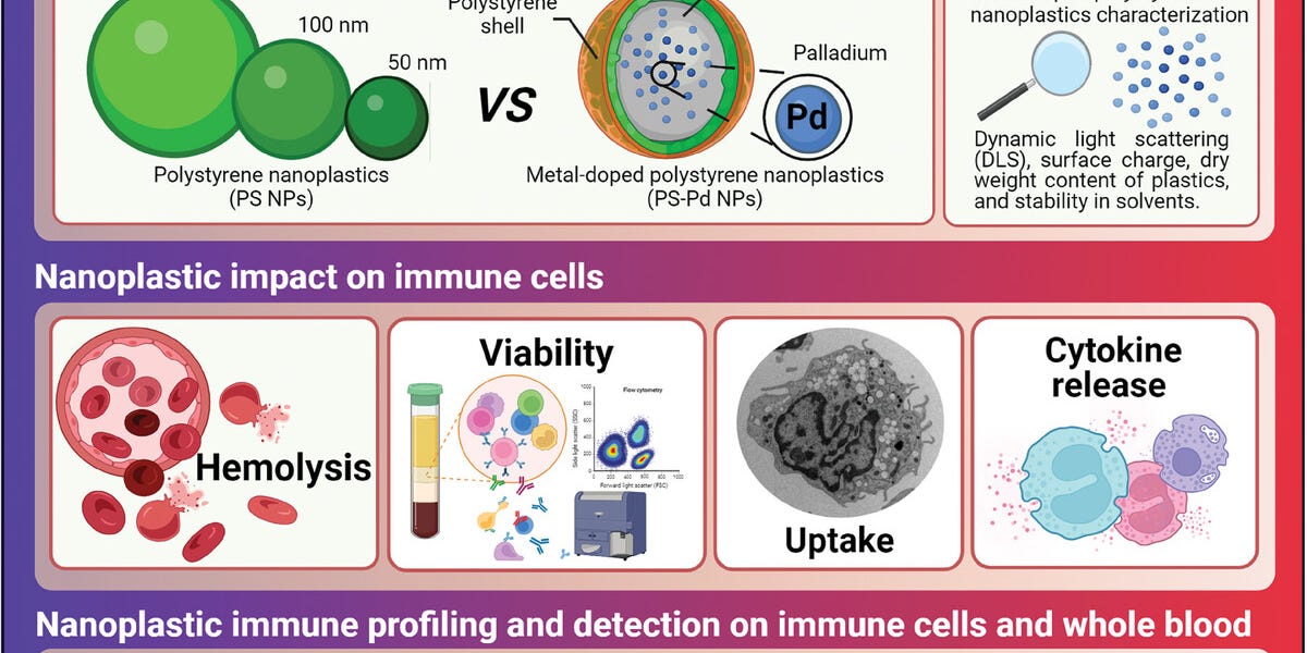 New Study Shows Significant Impact Of Nanoplastics (NP)On Immune ...