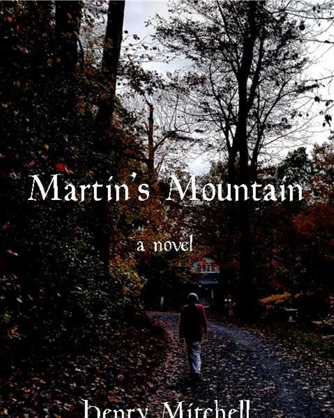 Martin's Mountain- - by Henry Mitchell - Drovers Gap