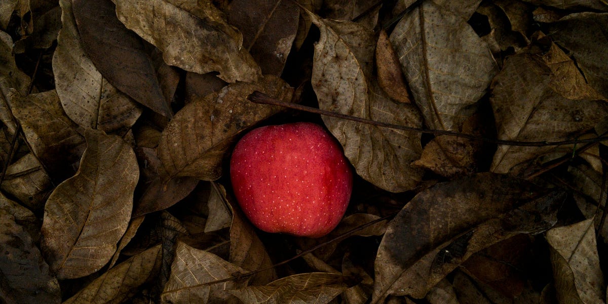 Intro I of Eve - Verser’s Substack