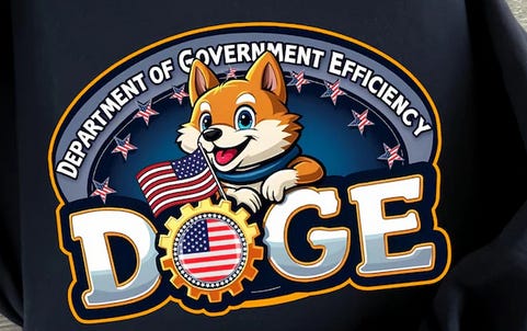Why the Fuss Over DOGE? - by Andrew L Sullivan