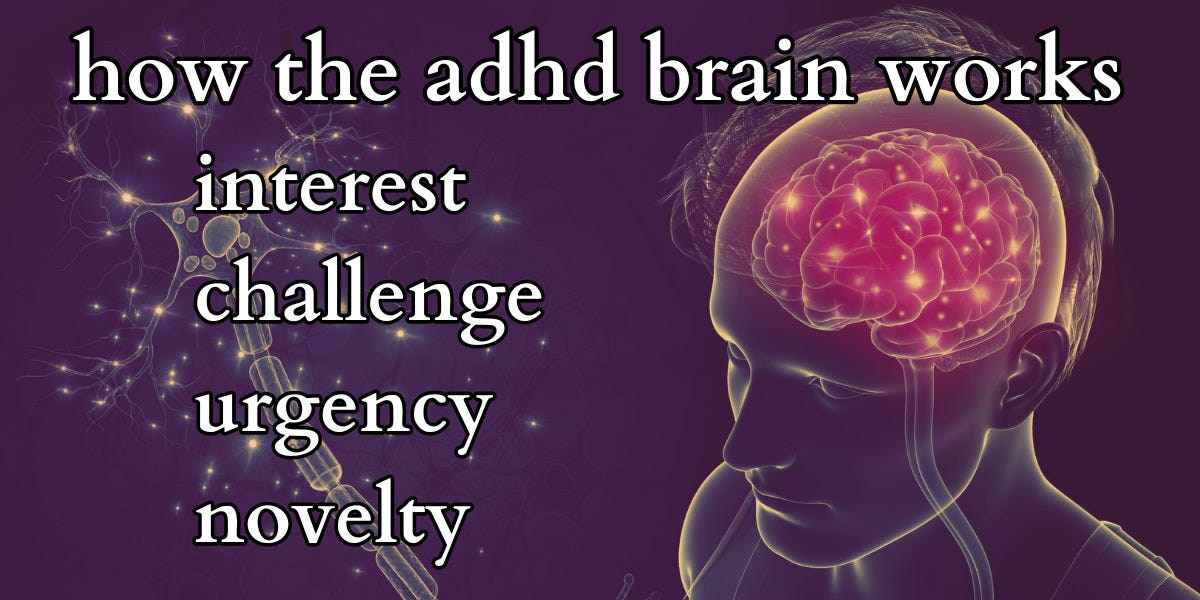 THIS is how your ADHD brain works and why it’s so hard for us to do ...