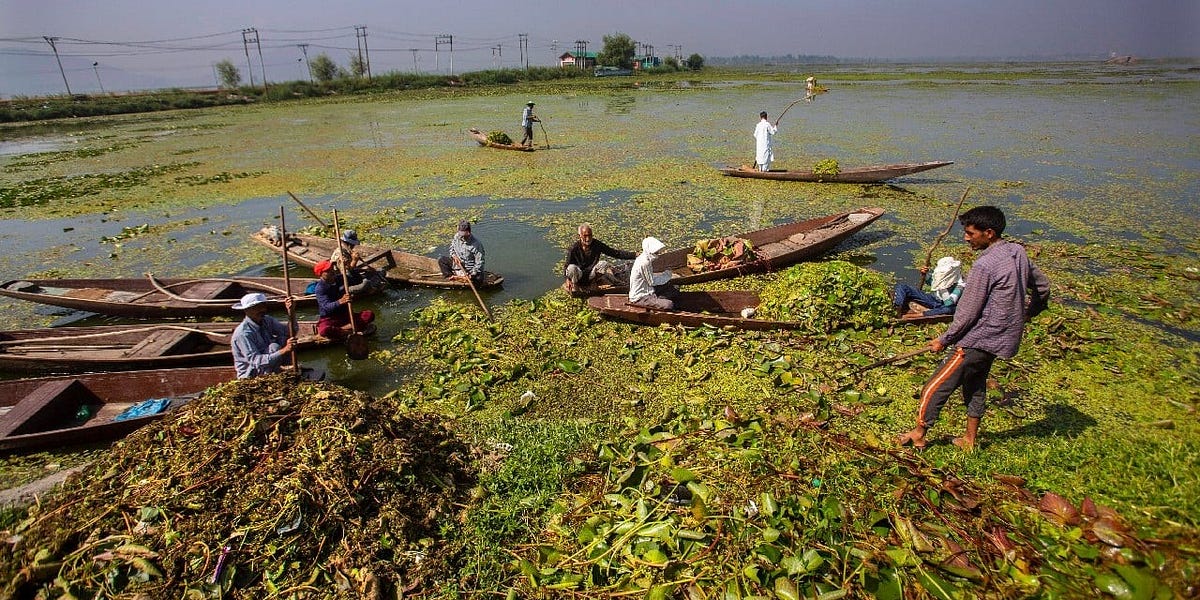 how to make dal lake