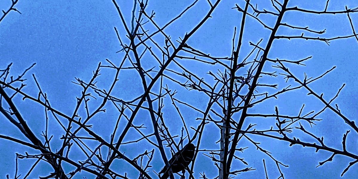 The Turning - by Janet Cain The Turning - Janet’s Substack