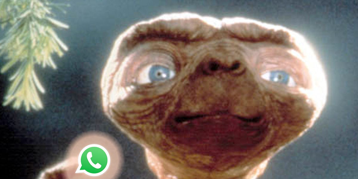 How to see unread WhatsApp messages - by Callum Booth