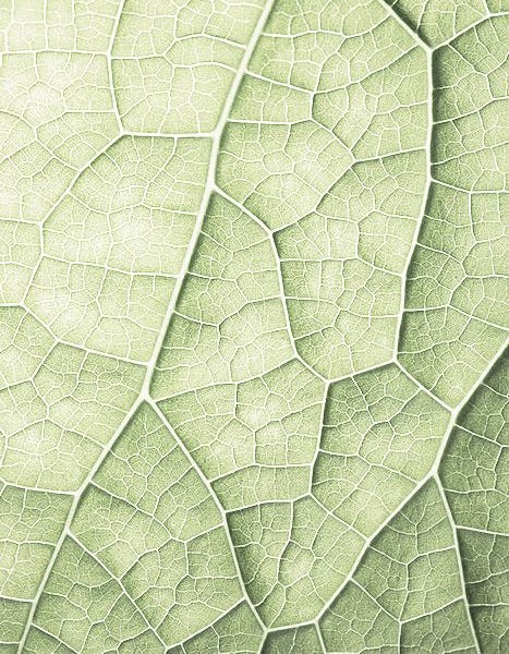 Hazte Cargo de tu VIDA. - by Fer Jansenson