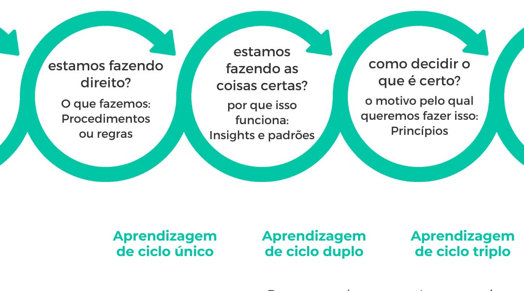 Ciclos de aprendizagem significativa, transformativa e evolutiva.