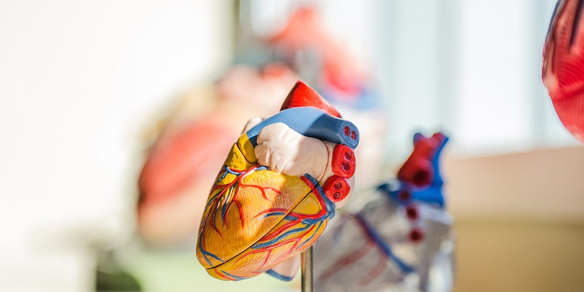 Gli steroidi anabolizzanti hanno effetti cardiovascolari persistenti?
