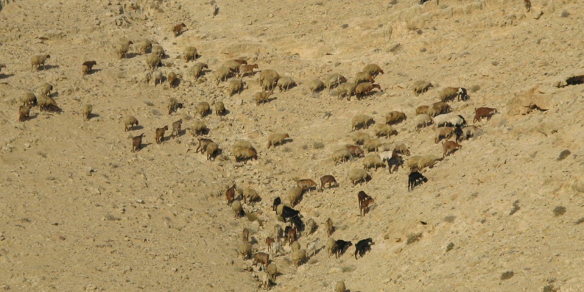 A Psalm a Day Keeps Satan Away: Psalm 46 - by David Wachter