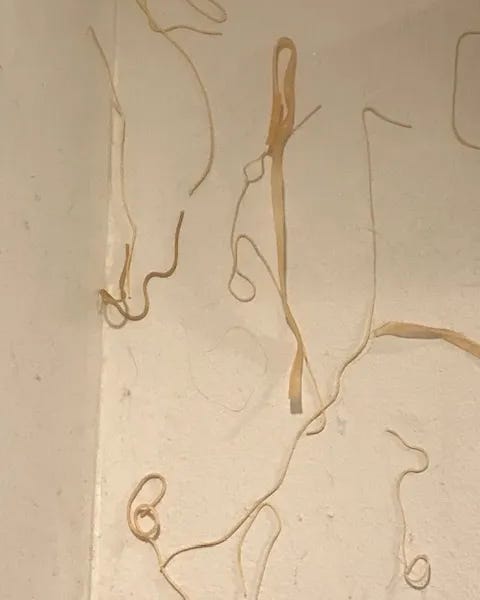 If the Spaghetti sticks - by Mandy Williamson