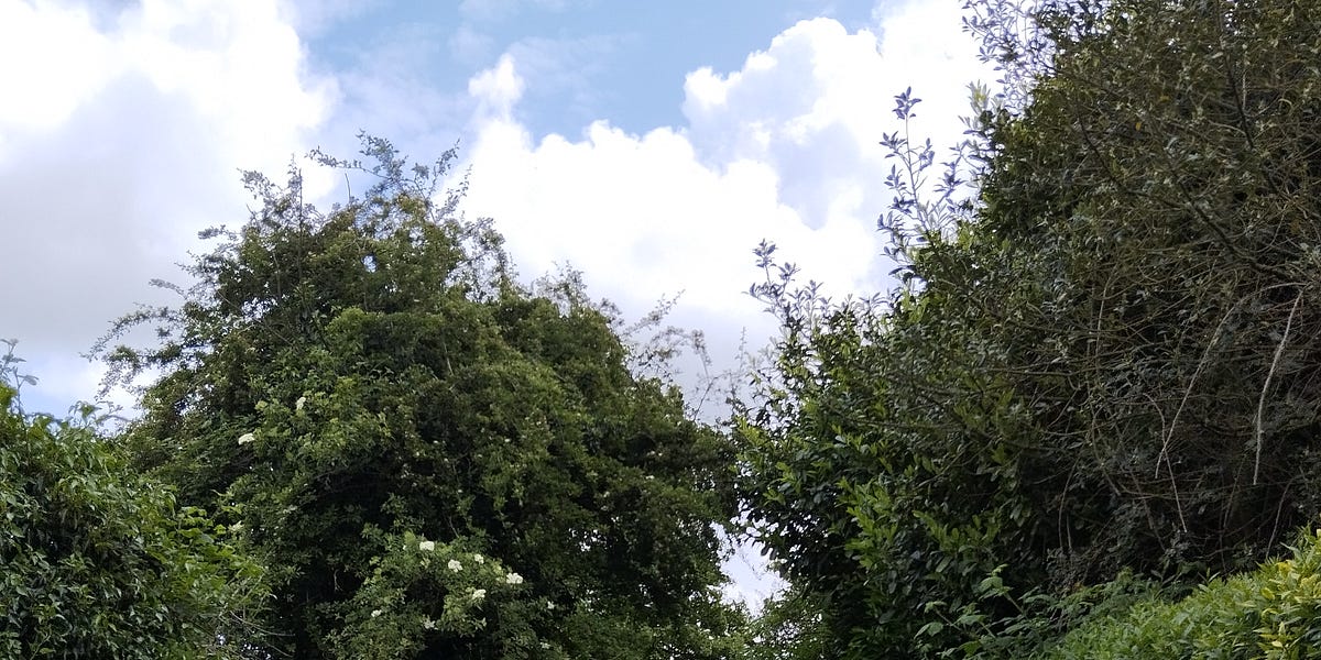 Shortcuts - Willerby’s Substack