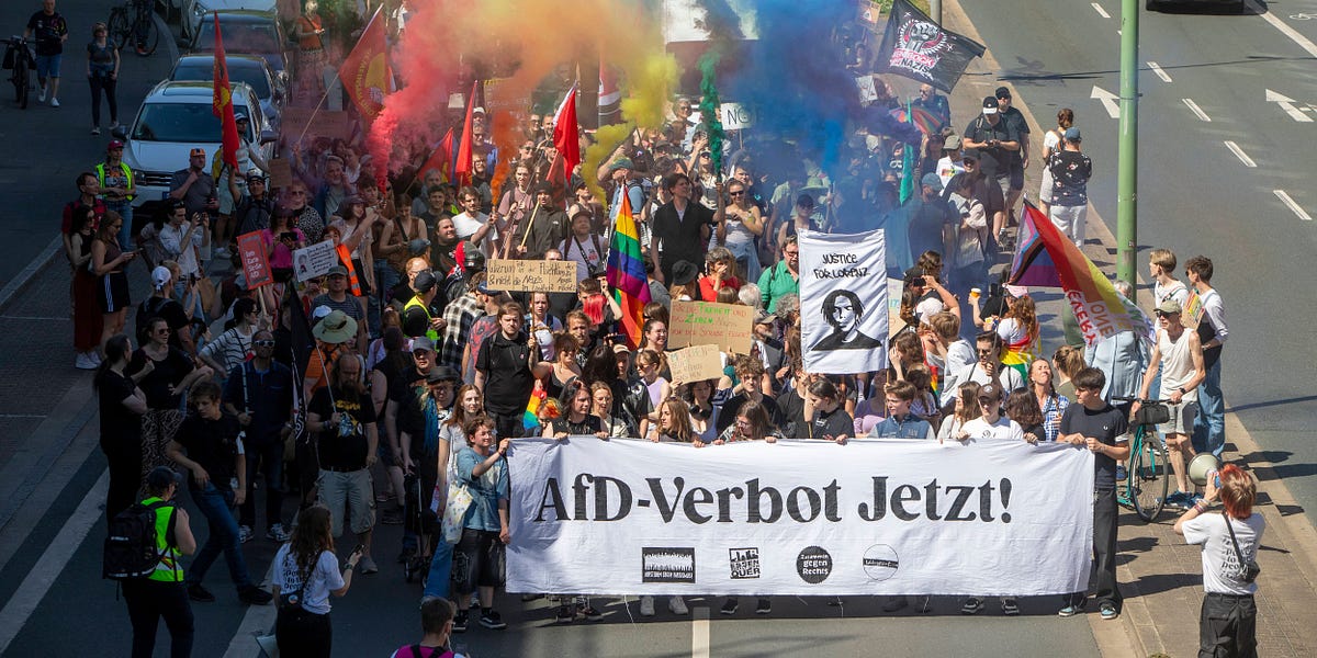 Comments - The campaign to ban Alternative für Deutschland is not going ...