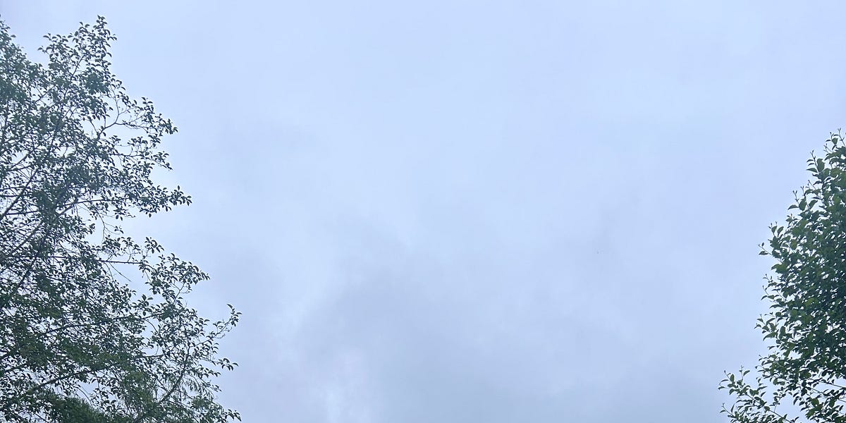 pause, pivot, recovery or midlife crisis? - by Sarah Breen