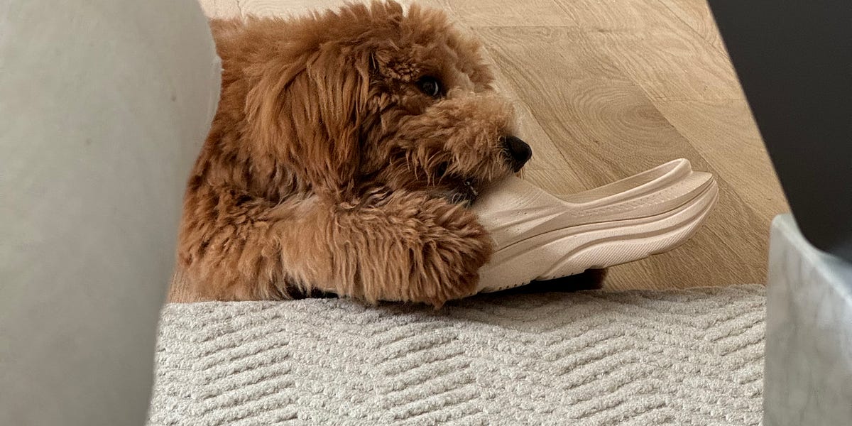 Summer compilation post - Matt Huang Buys Things