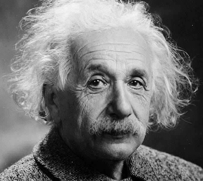 Albert Einstein - by Steven Rothwell - Paddle to the Sea