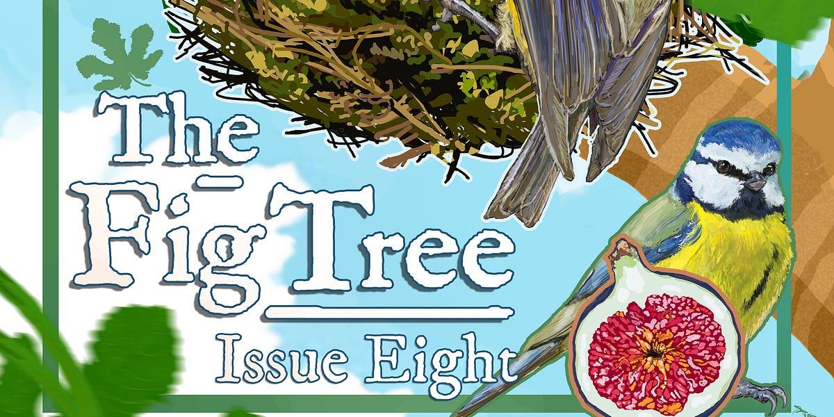 The Fig Tree - Issue 8 - by Tim Fellows - The Fig Tree