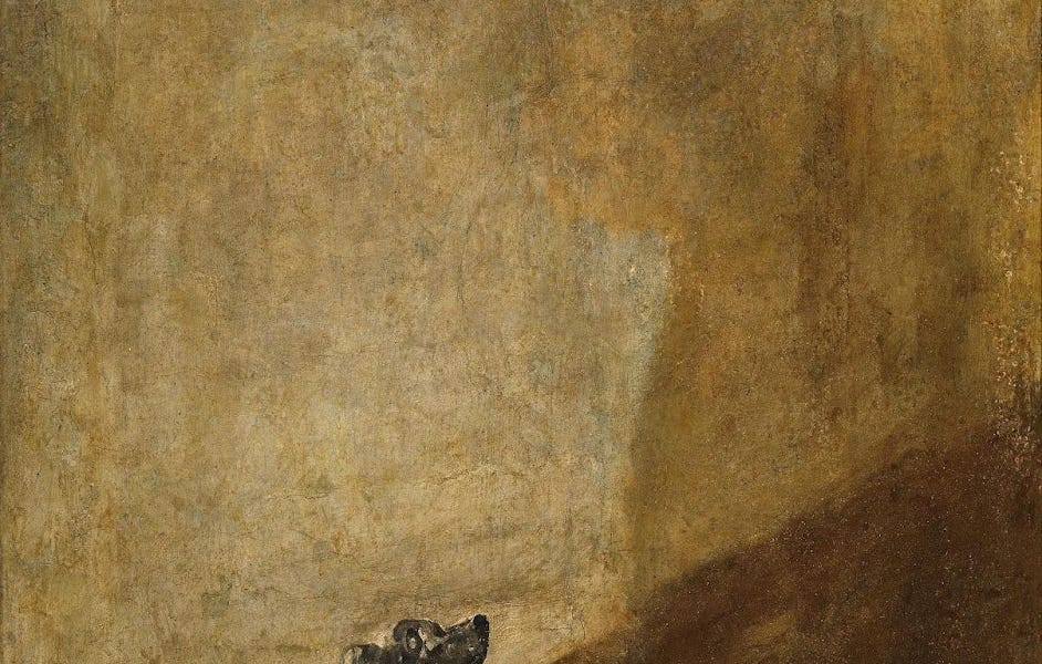 El Perro/The Dog - Andy Tom Hunter’s Substack