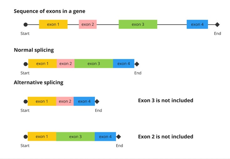 Understanding Splice Variants - by Sergey A.