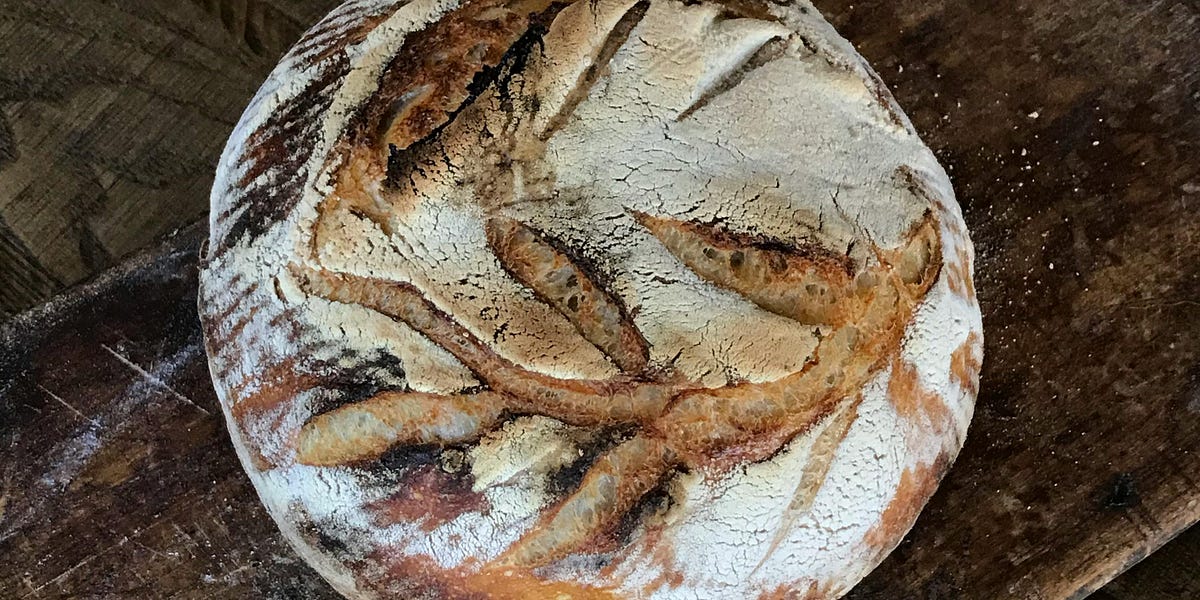 Some things you could learn how to bake. - Sarah Frison