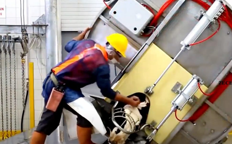 The Hypocrisy of Halal Slaughter - The David Ramms Substack