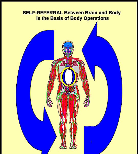 What is the Human Body’s Self-Referral?