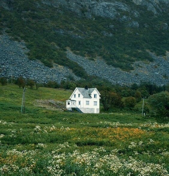 romanticize a quiet life - postcards by elle
