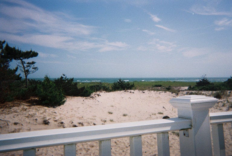 one paragraph: intro - by Rima Parikh - one paragraph