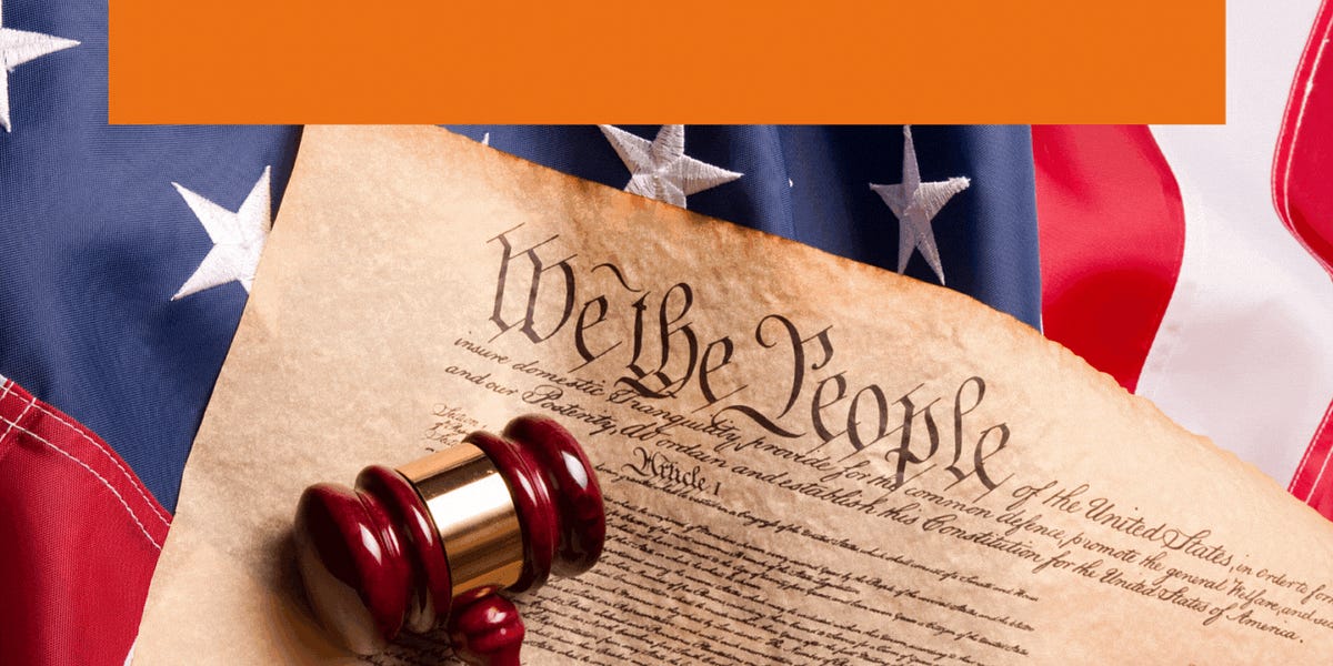 🗽Protect Democracy - by Laurie Woodward Garcia