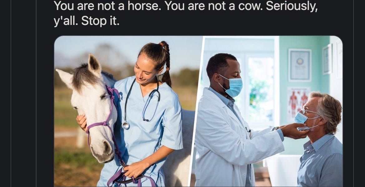 PetMectin: Pharmaceutical Grade Pure Ivermectin