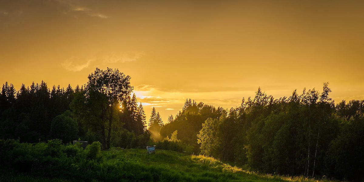 Halae Daily Message October 19, 2023 - by Alora Cheek