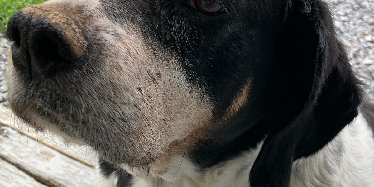 GPS routing not advised.