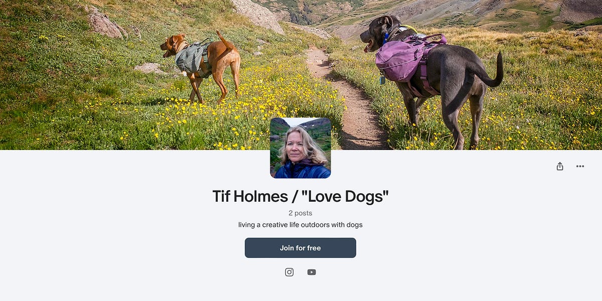 Patreon Announcement - by Tif Holmes - From Wild Places