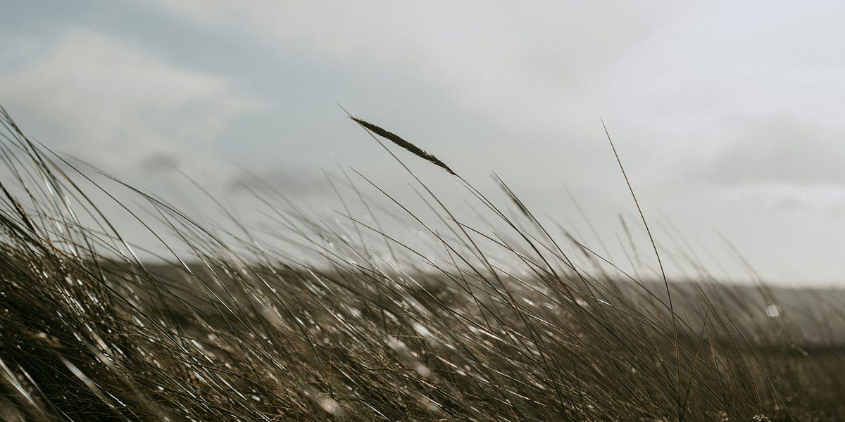 Born from Above — John 3 - Faith Lens Daily
