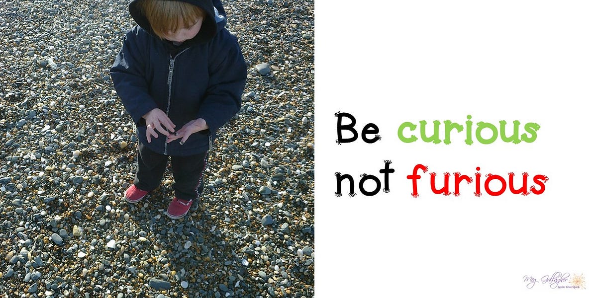 Be a detective - by Megan Gallagher - Megan’s Substack