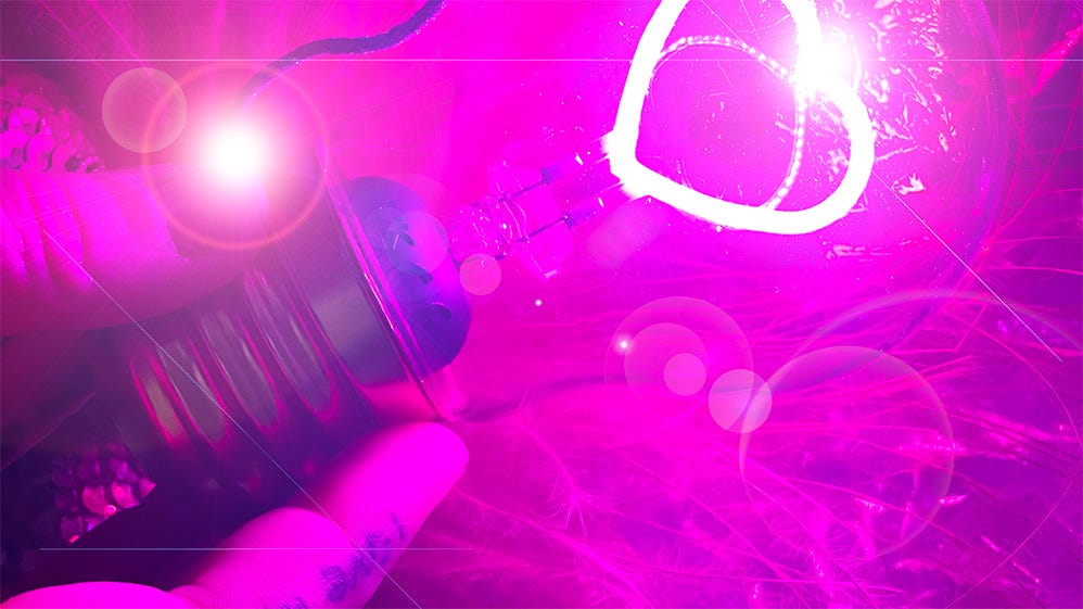 Newsletter Letter - by Emilia Richeson-Valiente