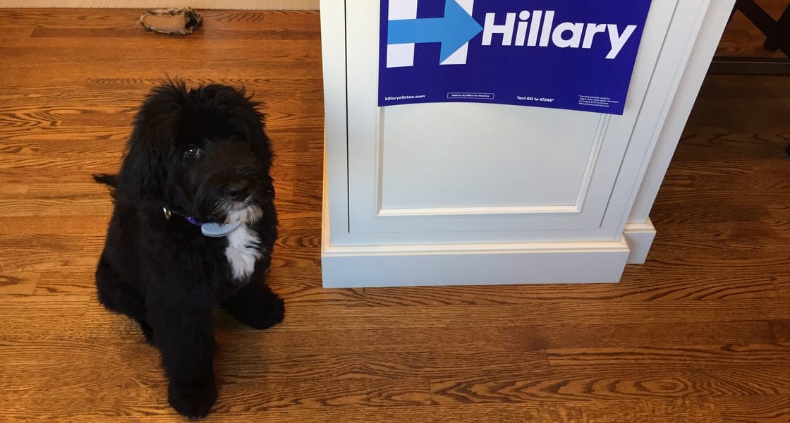 Marc Elias Loses Bode - by Kathleen Weber