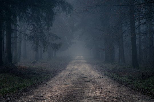 Our Lifetime: Our Human Journey - by C.J. Heck