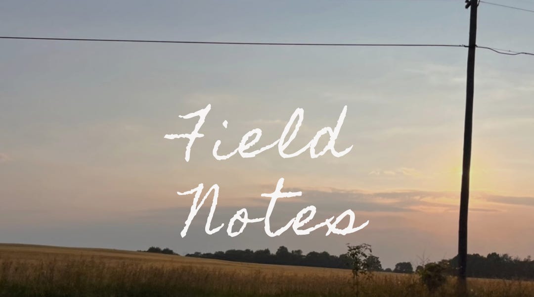 Fragments Volume One Is Here - by Lily Tobias - Field Notes