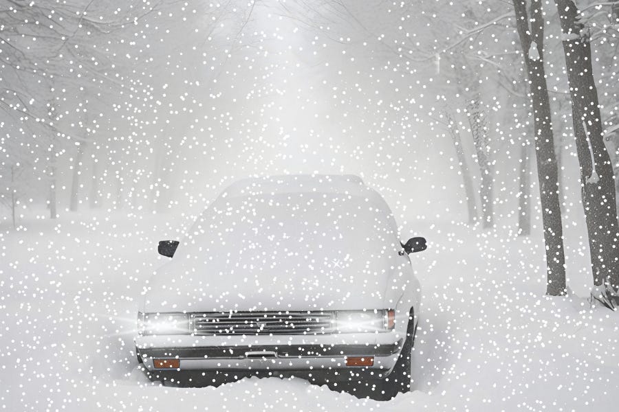 "Survival Kit" by Christine Seifert - by Tina Lee Forsee