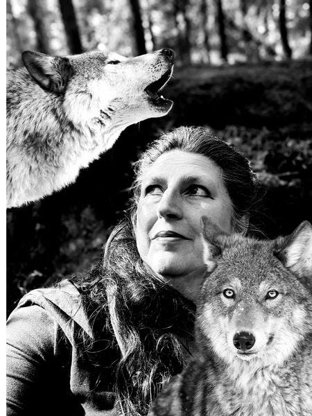 THE WOLF SONG - Imelda Almqvist's Substack