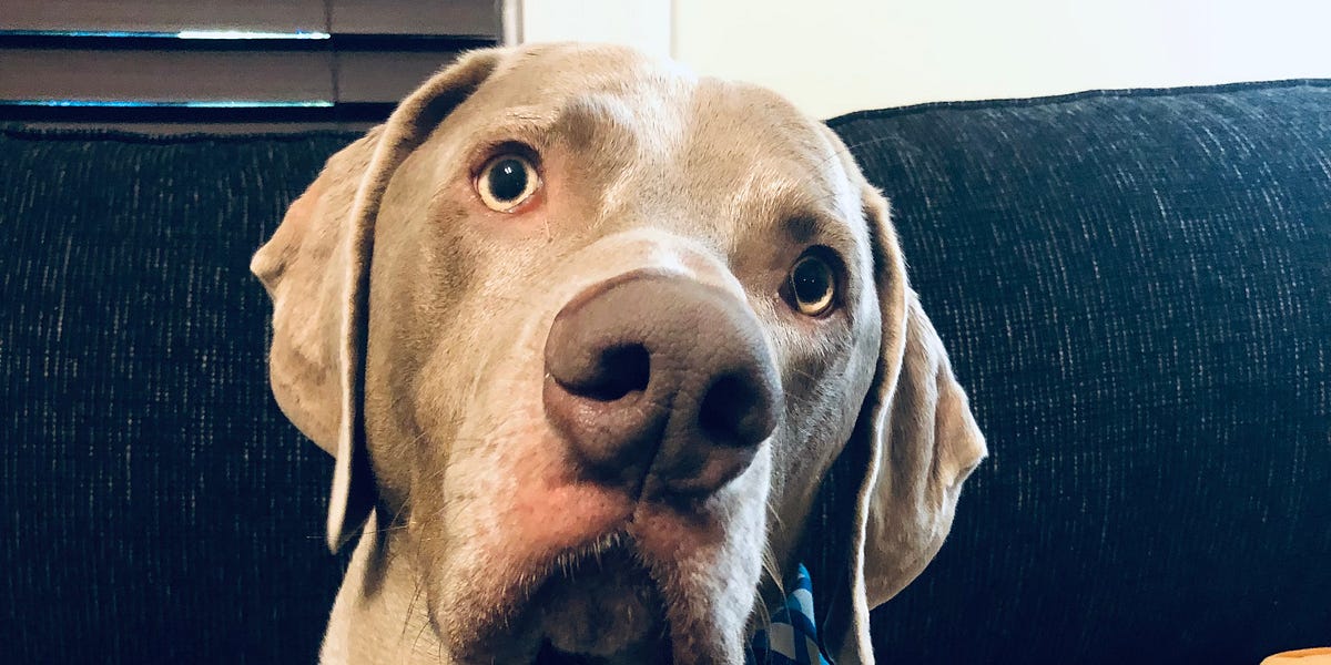 glory, day 30 - by Kaitlin Curtice - The Liminality Journal