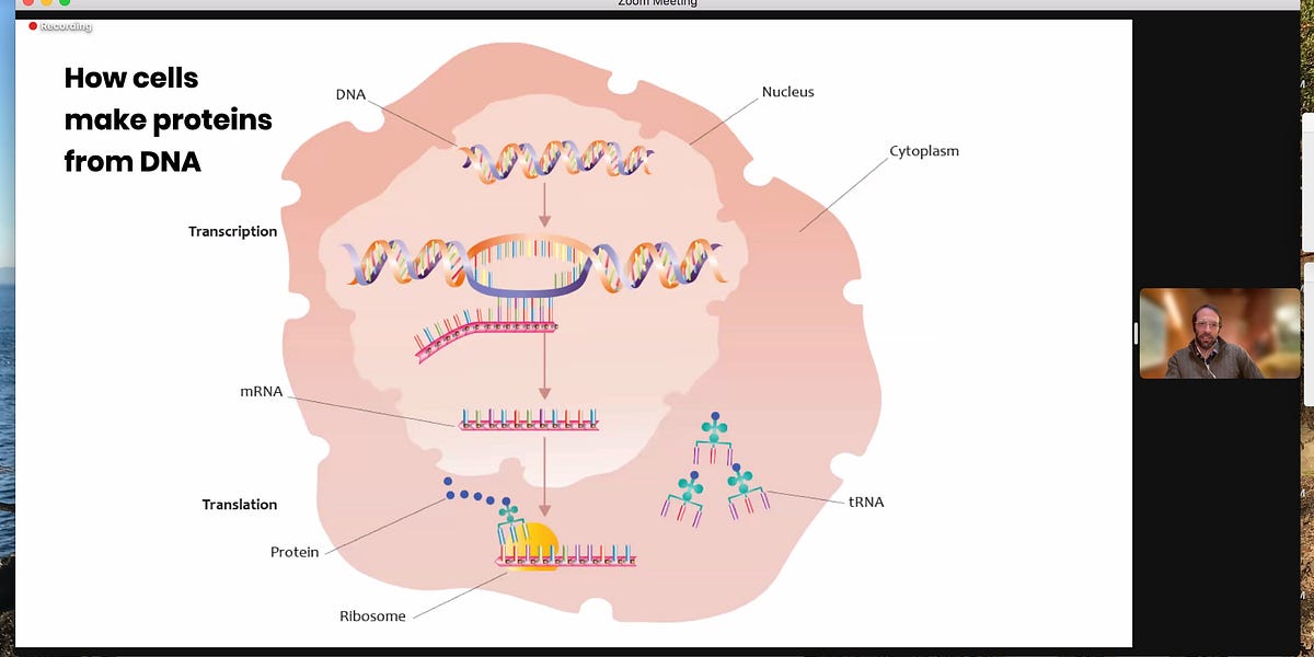 It's not Friday (recipe) - Pri’s Substack