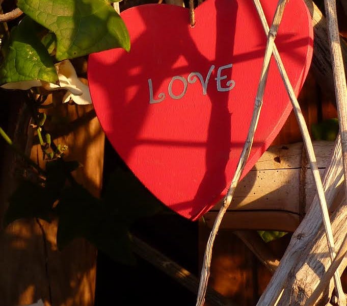 A Dance of Love & Letting Go - by Lila Danielle