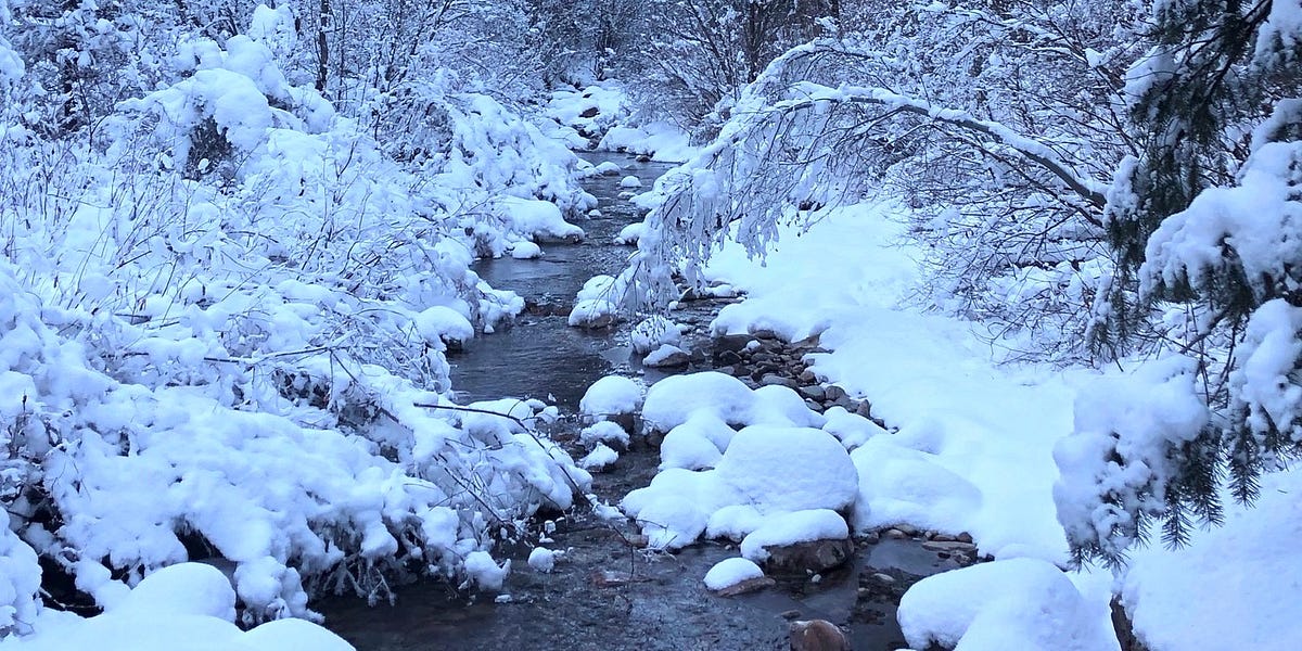 Big Gray and the Raven - by Clint McKnight