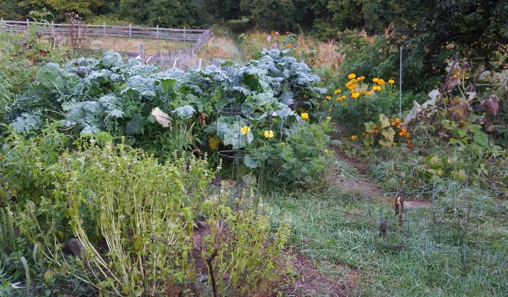How to Use Different Garden Methods to Improve your Gardening