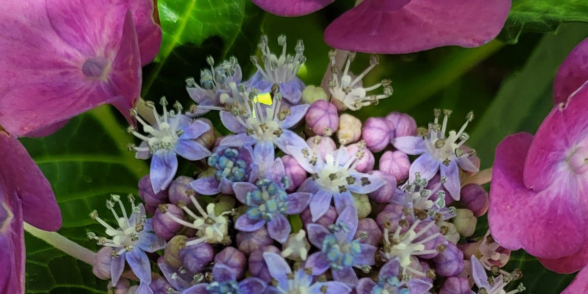 The Beauty of Failure - by Andrea Putting